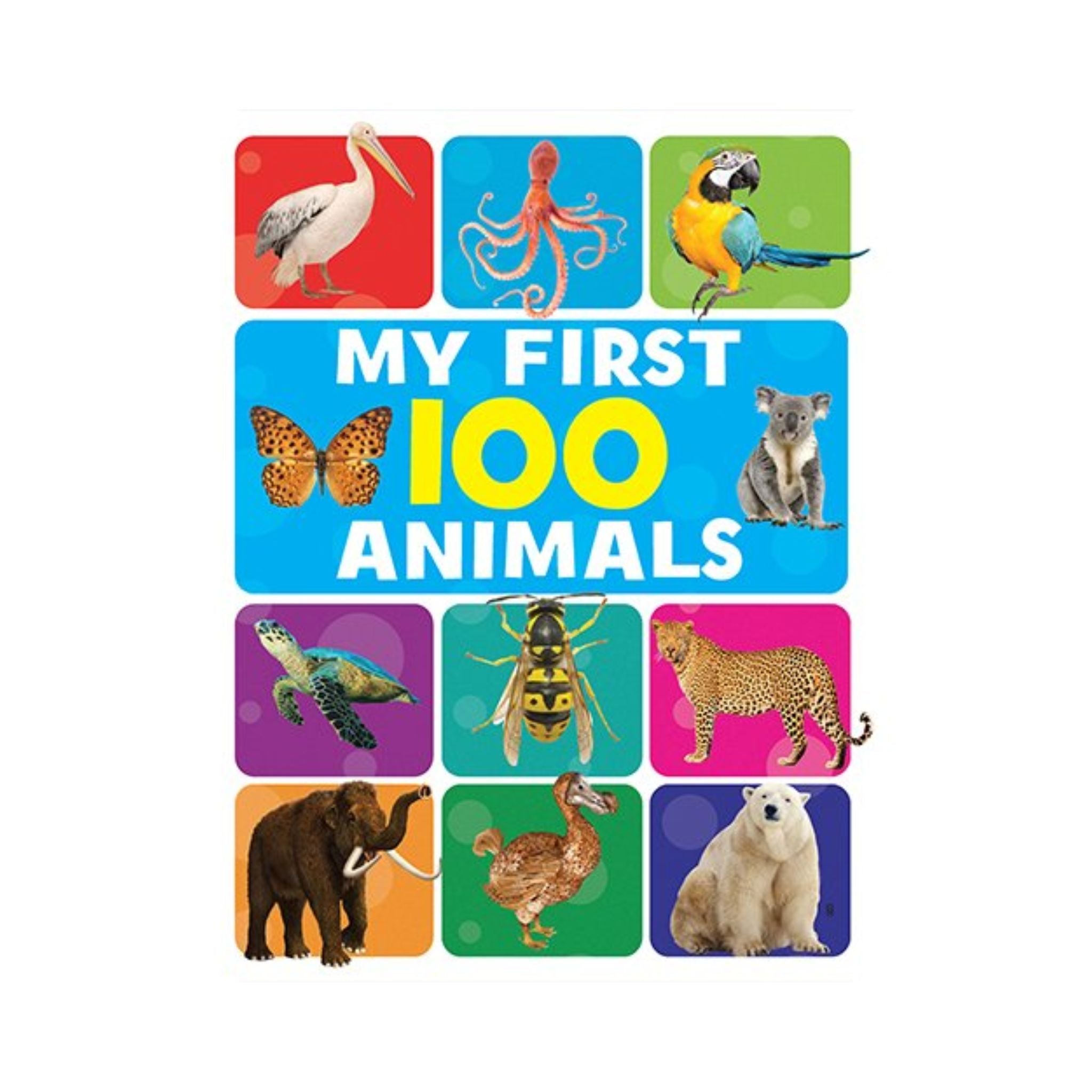 My First 100 Animals - Board book — pegasusforkids